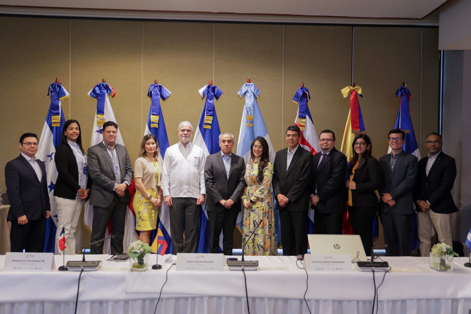 Reunión del Comité de Estándares en Santo Domingo: avances en la ...